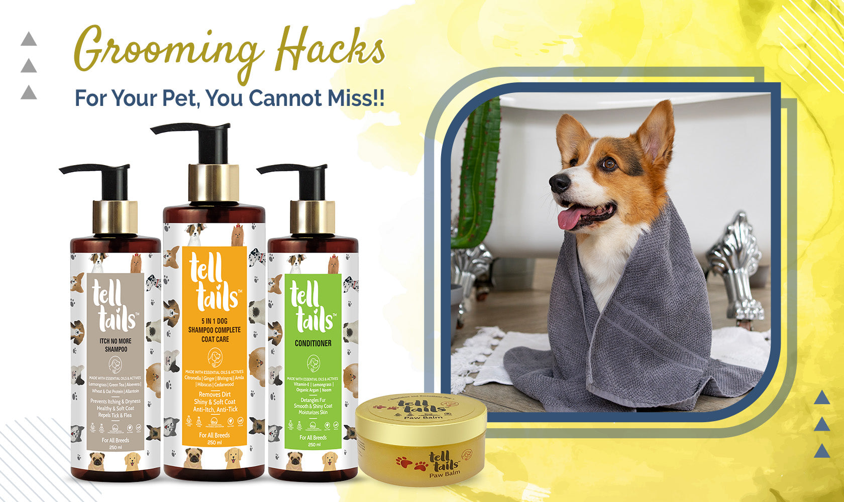 Grooming Hacks for Your Pet You Cannot Miss | Telltails