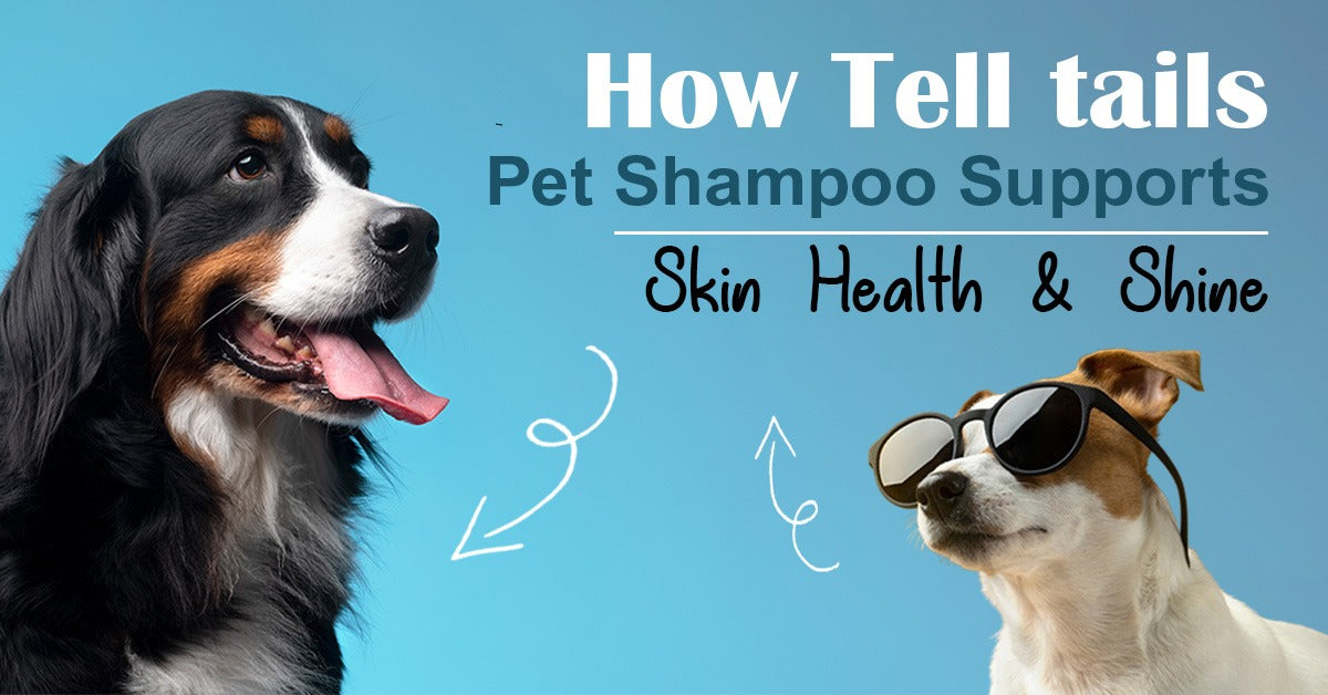How Telltails Pet Shampoo Supports Skin Health & Shine