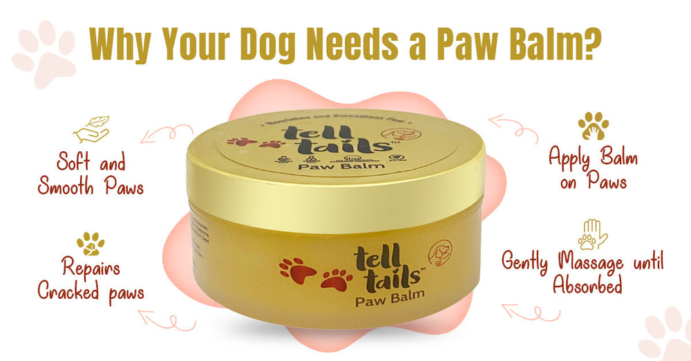 Know, Why Your Dog Needs a Paw Balm By Telltails