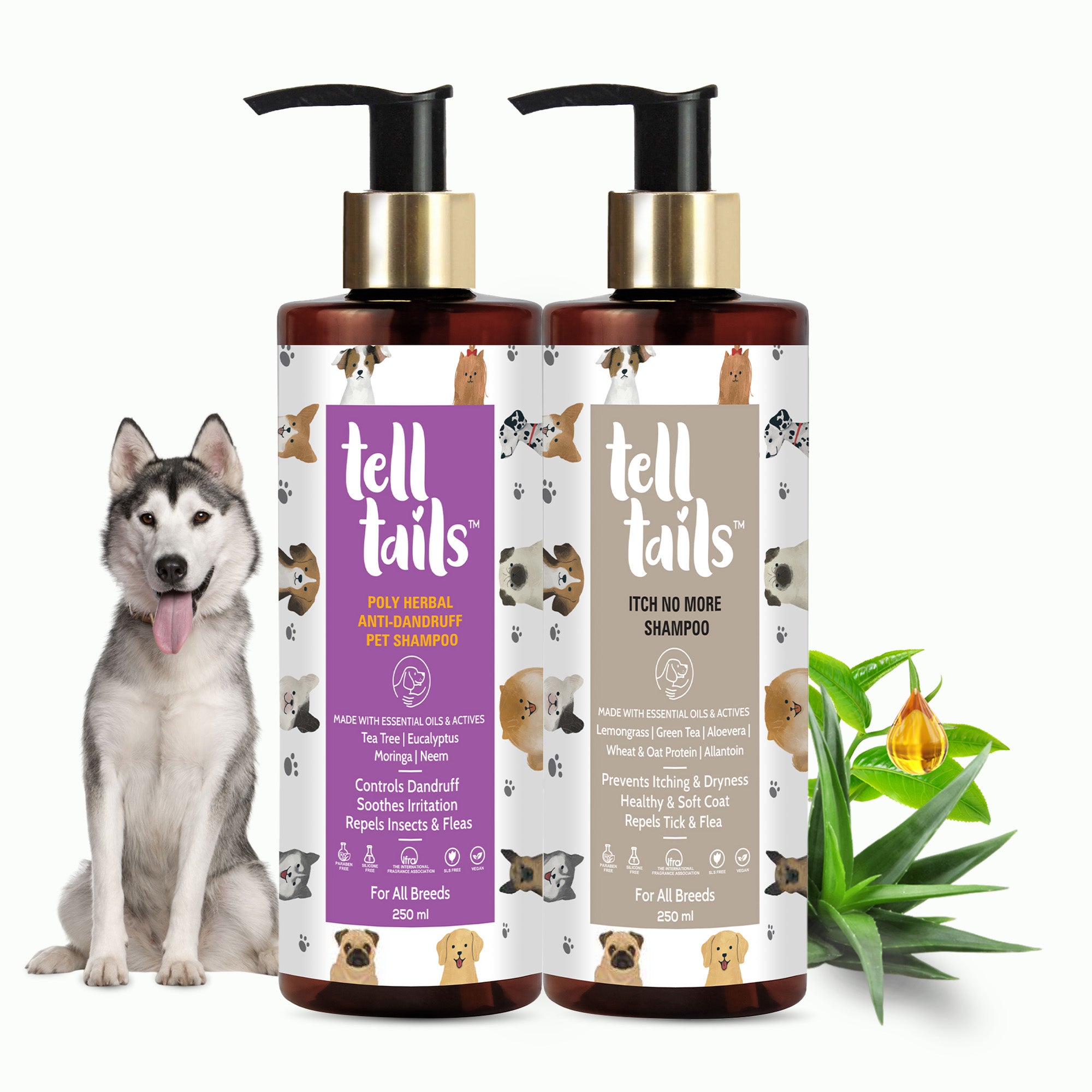Buy Natural Dog Dandruff Shampoo Combo Online By Telltails